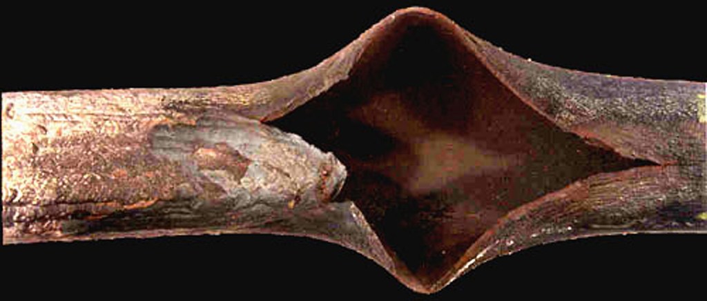 boiler-tube-rupture – Matergenics Inc. – Corrosion and Materials Solutions